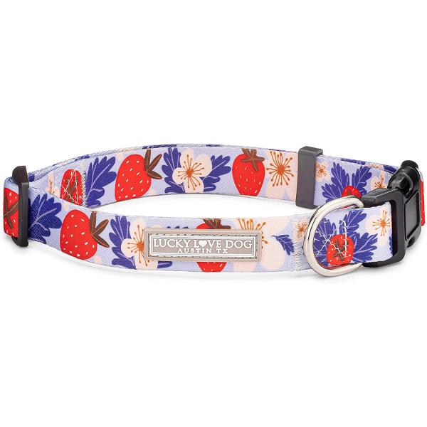 商品名Lucky Love Dog Collars | Cute Girl Collars | Small Medium Large Female Collars | Part of Purchase Donated to Rescue (...