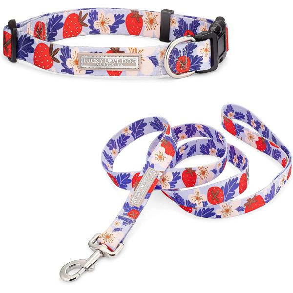 商品名Lucky Love Dog Collars | Cute Girl Collars | Small Medium Large Female Collars | Part of Purchase Donated to Rescue (...