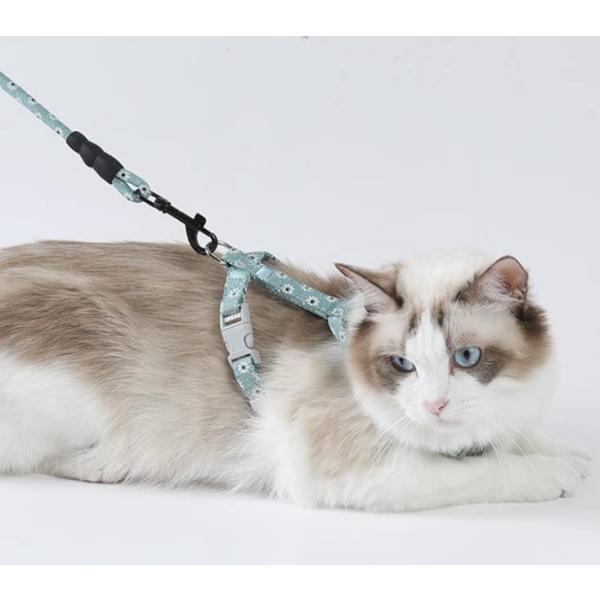 商品名Cat Harness with Leash Set Adjustable Harness Leash Set Soft Cat Walking Harness for Kitten and Small Animal(M-Light ...