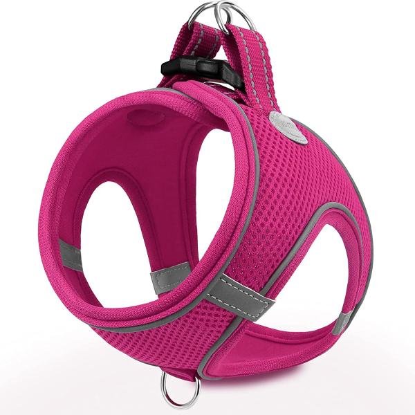商品名Joytale Step in Dog Harness,12 Colors,Breathable Mesh Vest Harness,Reflective Soft Padded Harnesses for Cats and Pupp...