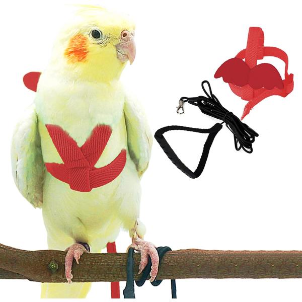 商品名Dnoifne Pet Parrot Bird Harness and Leash, Adjustable Training Design Anti-Bite, Bird Nylon Rope with Cute Wing for P...