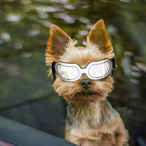商品名ENJOYING Dog Goggles Small Dog Sunglasses UV Protection Big Cat Glasses Fog/Windproof Outdoor Doggy Eye Protective wi...