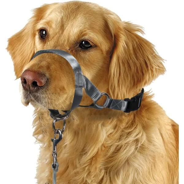 商品名Dog Head Collar, No Pull Training Tool for Dogs on Walks, Includes Free Training Guide, 5 (S, Grey)ブランド：BARKLESS商品サイズ...