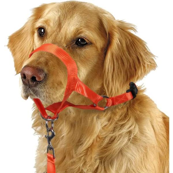 商品名Dog Head Collar, No Pull Training Tool for Dogs on Walks, Includes Free Training Guide, 5 (S, Orange)ブランド：BARKLESS商品サ...