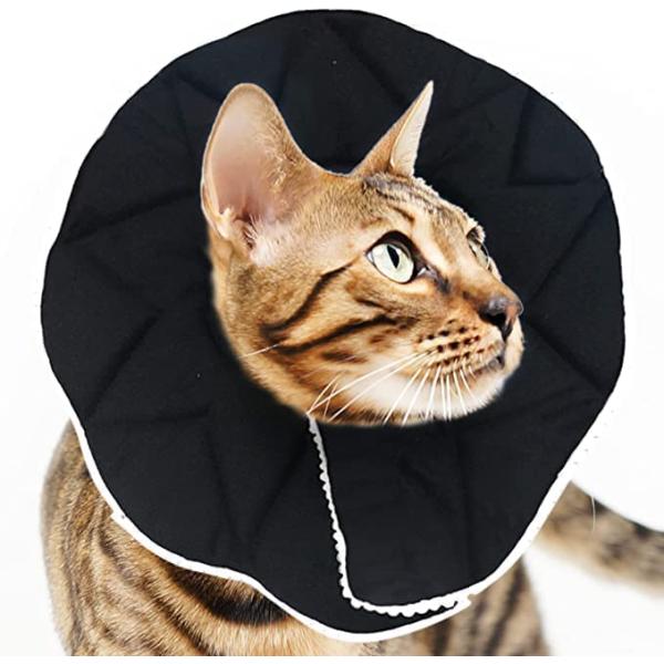 商品名SunGrow Cat Cone Collar Soft, Cat Recovery E Collar Cone After Surgery to Stop Licking, Pet Cone of Shame Alternative...