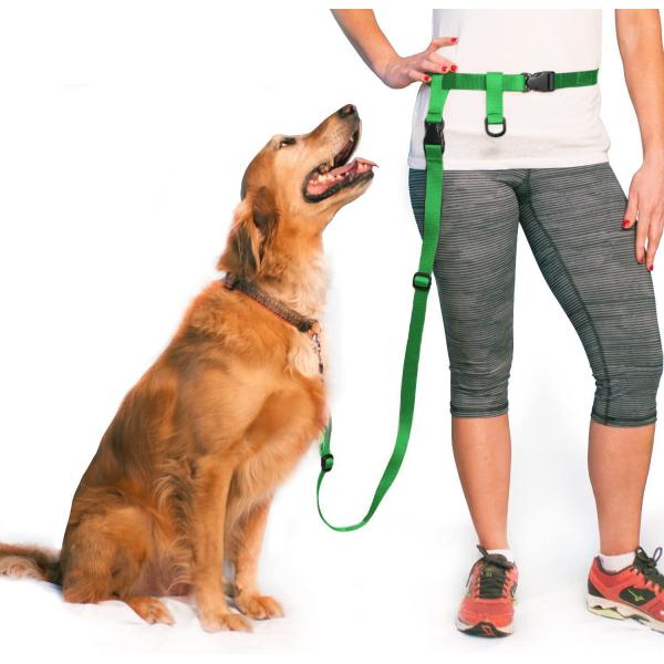 商品名The Buddy System Adjustable Hands Free Dog Leash, Hand-Free Leash for Running, Jogging, Walking, Hiking and Training ...