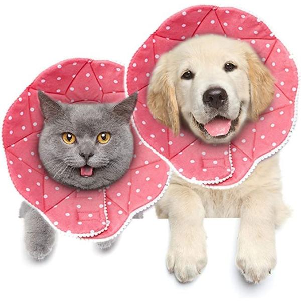 商品名SunGrow Cat Cone Collar Soft, Cat Recovery E Collar Cone After Surgery to Stop Licking, Pet Cone of Shame Alternative...
