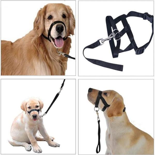 商品名Dog Head Collar Training Leash - No Pull Head Halter Stop Dog Pulling,Padded Headcollar for Small Medium and Large Do...
