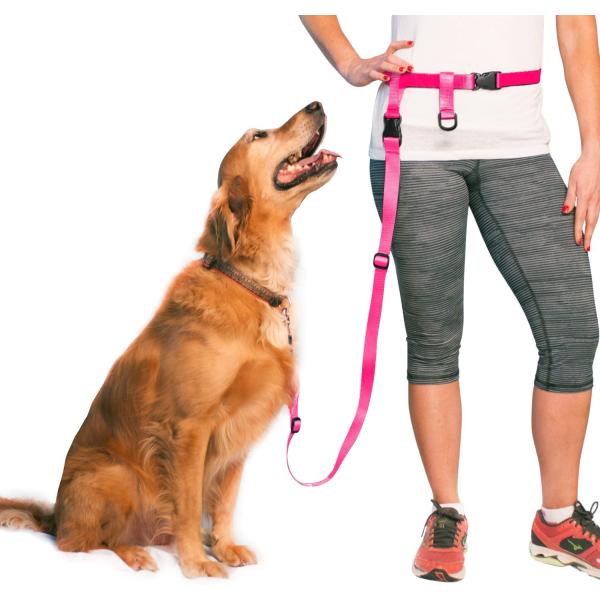 商品名The Buddy System Adjustable Hands Free Dog Leash, Hand-Free Leash for Running, Jogging, Walking, Hiking and Training ...