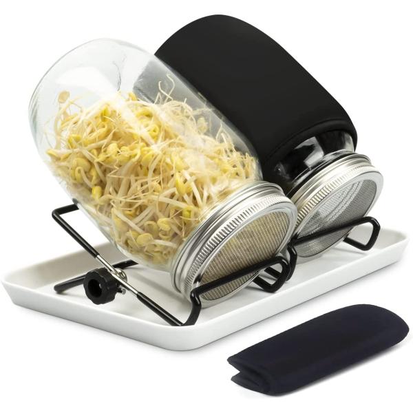 商品名発芽ジャーキットSprouting Jar Kit-2 Pcs wide mouth Mason jars with sprouting lids with mesh screens,sprouting jar stands and ...
