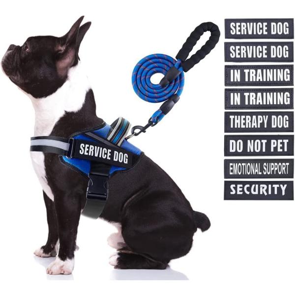 商品名Service Dog Vest Harness and Leash Set, Animire in Training Dog Harness with 8 Dog Patches, Reflective Dog Leash with...