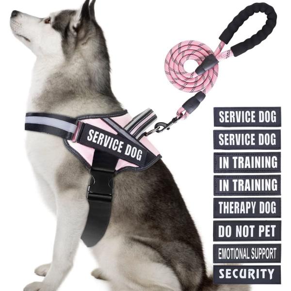 商品名Service Dog Vest Harness and Leash Set, Animire in Training Dog Harness with 8 Dog Patches, Reflective Dog Leash with...