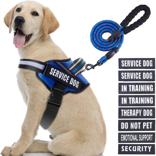 商品名Service Dog Vest Harness and Leash Set, Animire in Training Dog Harness with 8 Dog Patches, Reflective Dog Leash with...