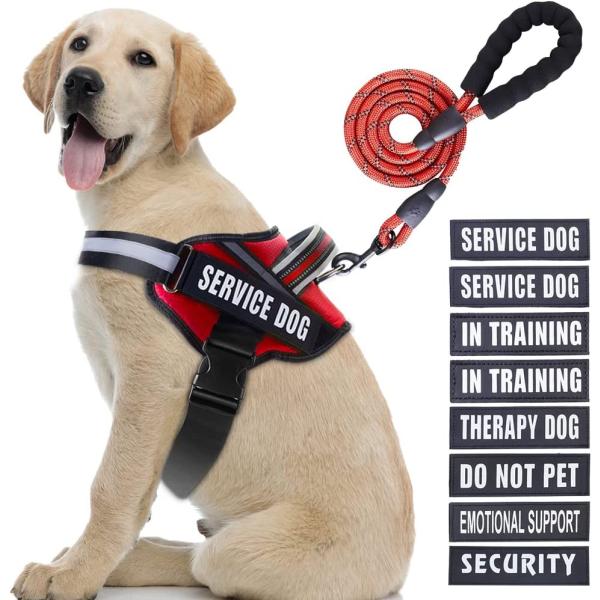 商品名Service Dog Vest Harness and Leash Set, Animire in Training Dog Harness with 8 Dog Patches, Reflective Dog Leash with...