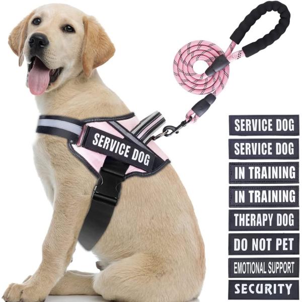 商品名Service Dog Vest Harness and Leash Set, Animire in Training Dog Harness with 8 Dog Patches, Reflective Dog Leash with...