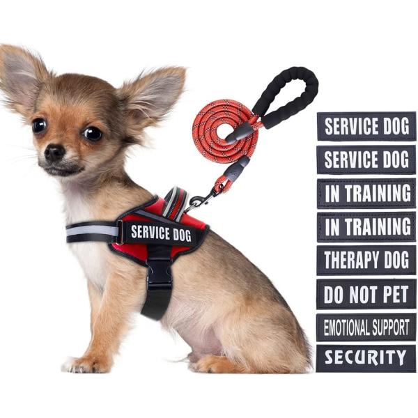 商品名Service Dog Vest Harness and Leash Set, Animire in Training Dog Harness with 8 Dog Patches, Reflective Dog Leash with...