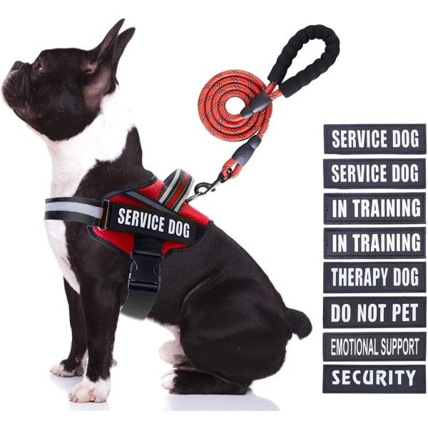 商品名Service Dog Vest Harness and Leash Set, Animire in Training Dog Harness with 8 Dog Patches, Reflective Dog Leash with...