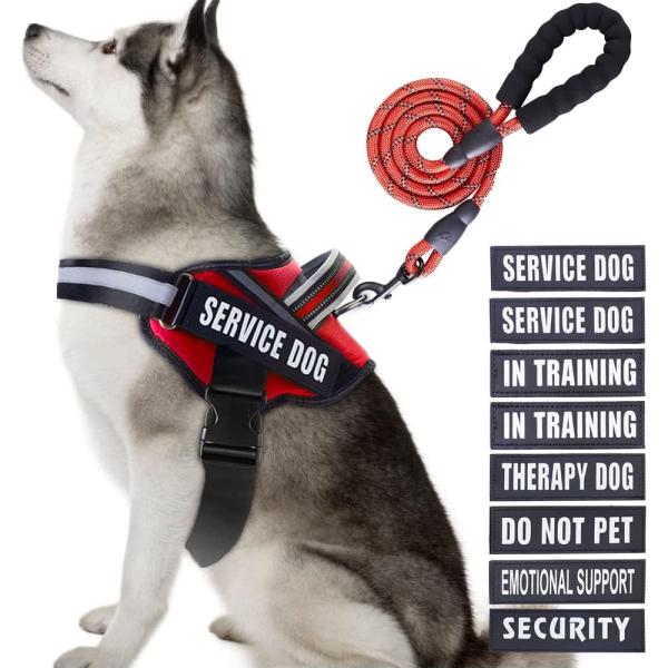 商品名Service Dog Vest Harness and Leash Set, Animire in Training Dog Harness with 8 Dog Patches, Reflective Dog Leash with...