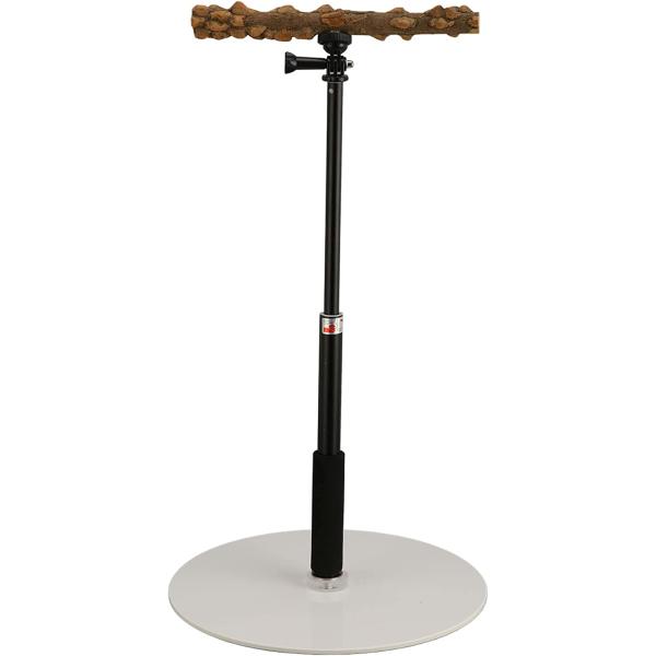 商品名Camidy 37 Inch Standing Adjustable Height Bird Perch Parrot Training Perch Stand Portable Detachable Parrot Play Stan...