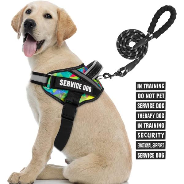 商品名Service Dog Vest Harness and Leash Set, Animire in Training Dog Harness with 8 Dog Patches, Reflective Dog Leash with...