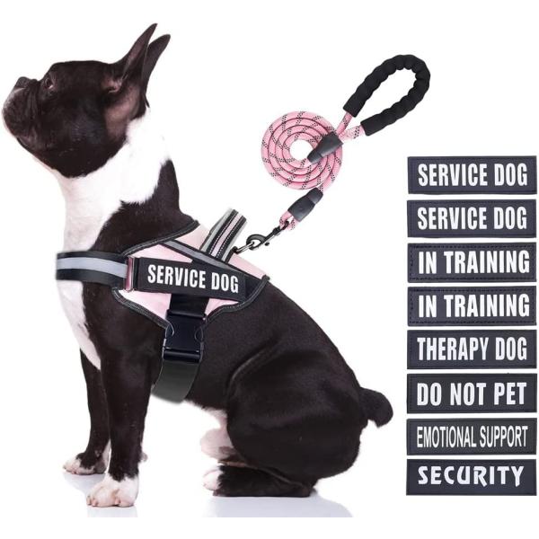 商品名Service Dog Vest Harness and Leash Set, Animire in Training Dog Harness with 8 Dog Patches, Reflective Dog Leash with...