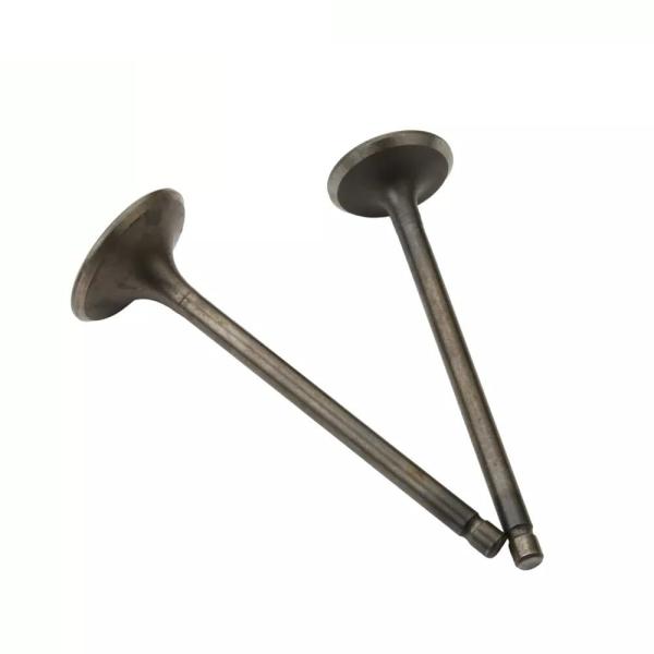 商品名:  Loczek Motorcycle 2PC Intake and Exhaust Valves for Y-m-h B-YZ-ON FZS FZ16 21C-E2111-01 21C-E2121-01 E2111 4-Strok...
