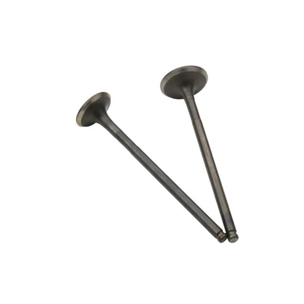 商品名:  Loczek Accessories Intake And Exhaust Valves Motorcycle 2PC For S?uzυki Satria FU 150 Raider Belang 150cc 12911-16...