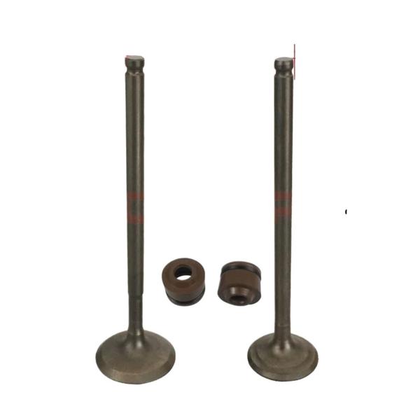 商品名:  Motorcycle Intake Exhaust Stem KEEWAY RKV125 RKS125 K157FMI RKV150 RKS150 RKV RKS 148 EGR Engine Spare Parts(A)ブラン...