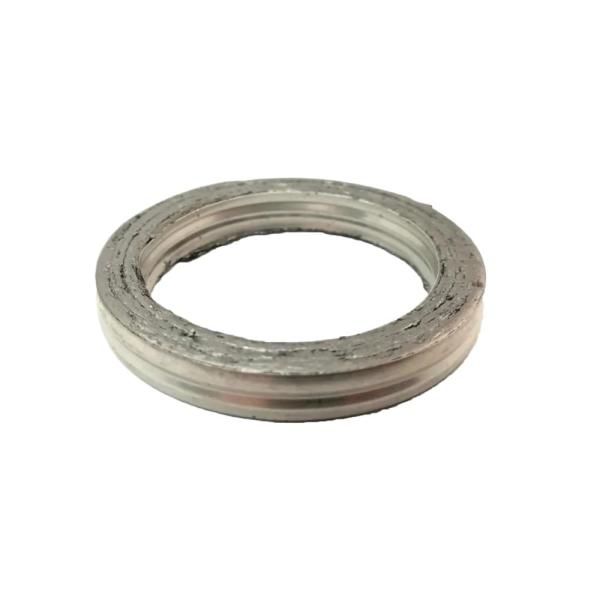 商品名:  Exhaust Pipe Gasket Graphite Sealing Ring for Linhai 260 300 ATV Linhai Code 23403ブランド: ODODBJQVX商品サイズ: One Size高さ...
