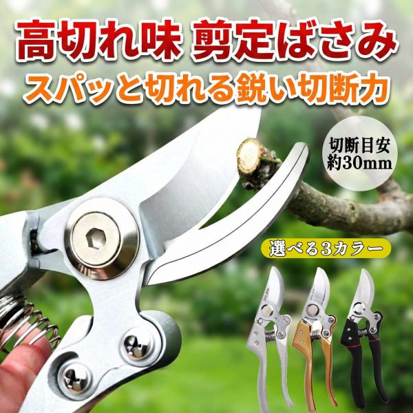 【商品概要】園芸・ガーデニング・果樹剪定など、幅広い用途に対応した高性能な剪定ばさみです。最大30mmまでの太い枝もスムーズに切断でき、家庭菜園から庭木の手入れまで活躍します。【高耐久SK-5スチール刃】刃には耐久性と切れ味に優れたSK-5...