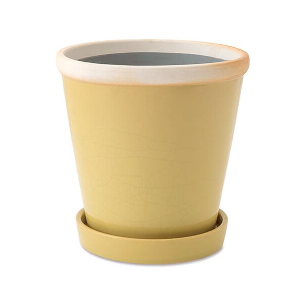 規格:φ16 H16.5口径サイズ：φ15鉢：φ16 H15.5受皿：φ13.5 H2底穴：φ1.5セラミック原産国:中国品番:30766備考:・底穴有・5号鉢サイズ******************・製造上サイズや重量に個体差がある場合...