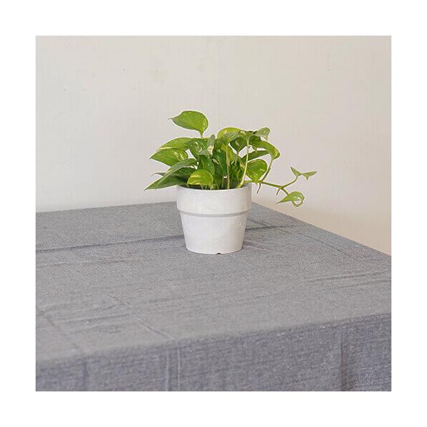 規格:W225 D150コットン原産国:インド品番:52892備考: ・透け感あり******************・ご使用前に1?2回程度のお洗濯をお勧めします。・色移りが生じる場合がございますので、単品で手洗いをお願いします。・色物は...