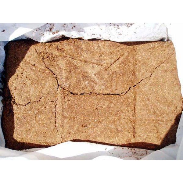 ◎クヌギ100％一次発酵済み！　各種オオクワ等材産みする種類の床マットとして最適で　発酵済みの為、カビにくくお勧めです。オオクワ幼虫　の一時飼育としてもご利用になれます。ご使用状況に　応じて水分調整して下さい。 ◎注意事項：夏期等、発酵臭が...