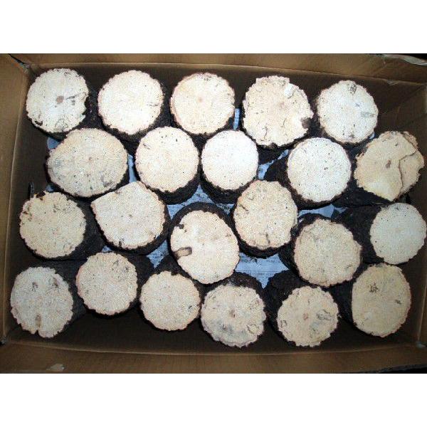 ◎クヌギ産卵木とクヌギ粉砕マットは2ケース1個口で　お届けできます。（北海道・沖縄除く）　また送料が複数で計算された場合、修正させて頂きます。◎納期まで3〜5日かかります。◎規格：直径約5〜7cm　長さ約14cm 1ケース40〜48本入り◎...