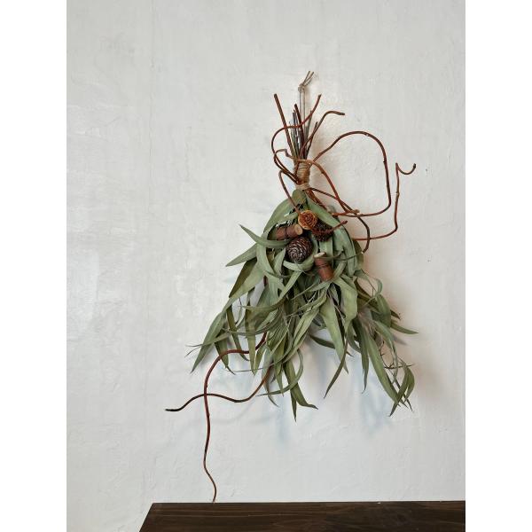 ドライフラワースワッグユーカリとアカヅルを組み合わせた、ナチュラルなドライフラワーアレンジです。木の実をアクセントに添え、やさしく素朴な雰囲気に仕上げました。アカヅルの曲がりが手前に出ることで躍動感あるデザインとなっています。飾りすぎないシ...