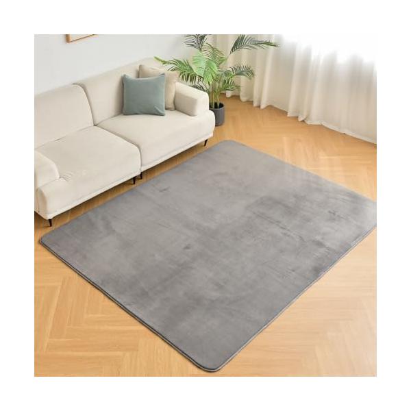 カラー：greyサイズ：約190X240CM（3畳）【オールシーズン対応】超費用対効果の高いカーペット3畳！このラグ3畳表面のフランネル素材は極細繊維のマイクロファイバーを使って、最高に繊細なフワフワ感で体をやさしく包み込み。夏でもドライな...