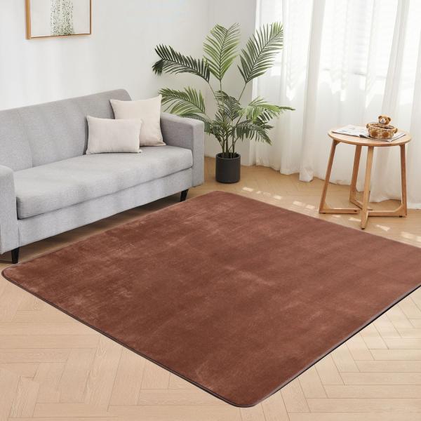 カラー：ブラウンサイズ：約190X240CM（3畳）【オールシーズン対応】超費用対効果の高いカーペット3畳！このラグ3畳表面のフランネル素材は極細繊維のマイクロファイバーを使って、最高に繊細なフワフワ感で体をやさしく包み込み。夏でもドライな...