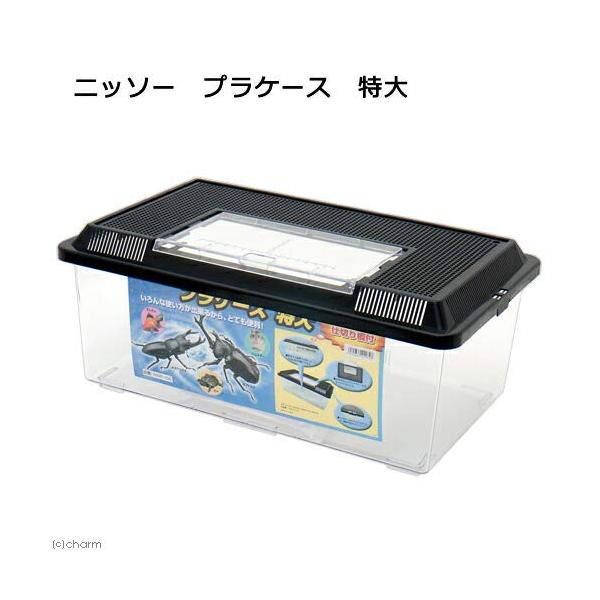 ■システム反映の都合上、ご購入後でも品切れになっている場合があります。その場合、ご登録のメールアドレスに通知致します。必ずご確認をお願いします。■サイズ・カラー等の記載が無い場合や複数記載がある場合があります。ご不明点は、ご購入前にご質問く...