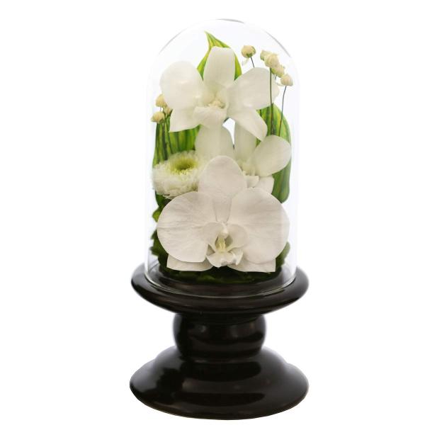 ■システム反映の都合上、ご購入後でも品切れになっている場合があります。その場合、ご登録のメールアドレスに通知致します。必ずご確認をお願いします。■サイズ・カラー等の記載が無い場合や複数記載がある場合があります。ご不明点は、ご購入前にご質問く...