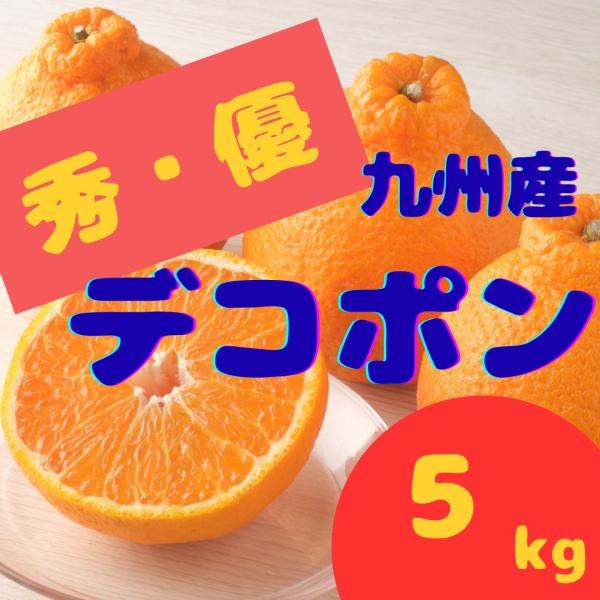 ■ 商品詳細産地： 熊本県産内容量： 約5kg（箱込）傷み保障500gサイズ： S、M状態： 優品※訳あり品と比べ傷は少ないですが、枝擦れ、色ムラ、外皮のゴツゴツ感がある場合がございます。発送： 概ね3日以内（土日祝除く）保管期限： 到着か...