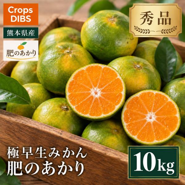 熊本県産の極早生みかん「肥のあかり」。高糖度で酸味が比較的穏やか、早い時期から甘みを楽しめる品種です。Sサイズの小玉を、2026年にスイカで野菜ソムリエ金賞を受賞した池田さんから産地直送でお届けします。肥のあかりは熊本県育成の極早生温州で、...