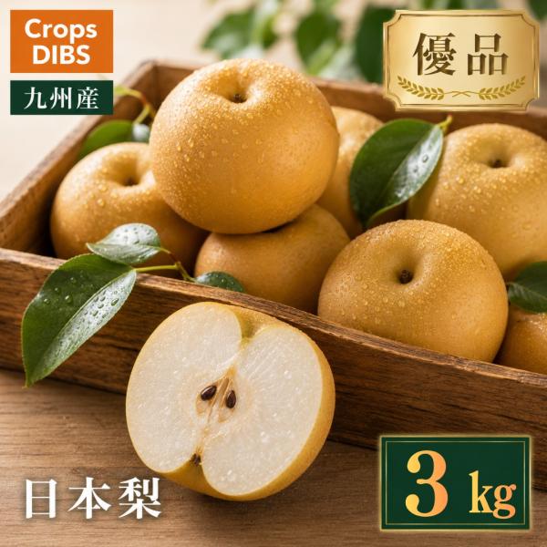 みずみずしく、シャリシャリとした食感が魅力の日本梨。九州産の優品を3kgでお届けします。冷やしてそのまま、食後のデザートやおやつにおすすめです。■商品詳細・品目：日本梨・産地：九州産・内容量：3kg・サイズ：おまかせ・等級：優品配送：日本郵...