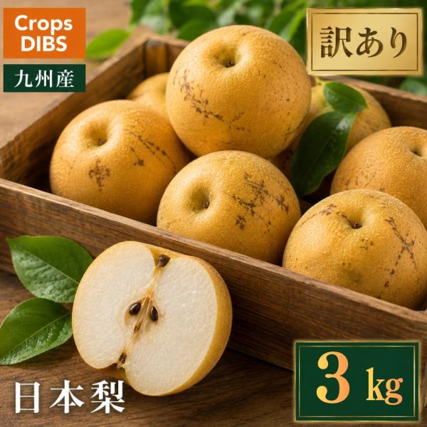みずみずしく、シャリシャリとした食感が魅力の日本梨。九州産の訳あり品をたっぷり3kgでお届けします。ご家庭用として毎日のデザートやおやつにおすすめです。■商品詳細・品目：日本梨・産地：九州産・内容量：3kg・サイズ：おまかせ・等級：訳あり訳...