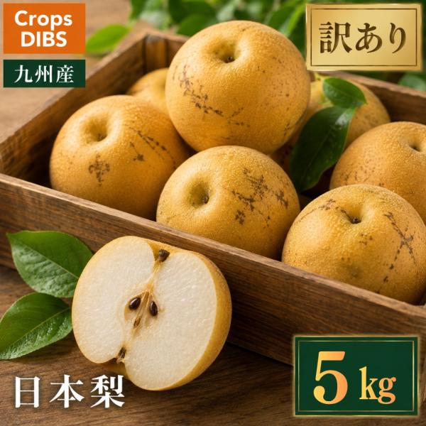 みずみずしく、シャリシャリとした食感が魅力の日本梨。九州産の訳あり品をたっぷり5kgでお届けします。ご家庭用として毎日のデザートやおやつにおすすめです。■商品詳細・品目：日本梨・産地：九州産・内容量：5kg・サイズ：おまかせ・等級：訳あり訳...