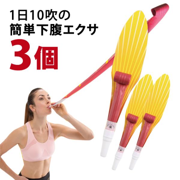 ＜ご注意＞開封後の返品、交換は一切お受けできません。＜商品説明＞楽しく腹式呼吸エクササイズ！ロングピロピロ。TV・雑誌で話題沸騰、深く息をするだけのロングブレスが気になるボディを直撃！約1mの特殊ロングピロピロがボディにガンガン響く！楽しく...