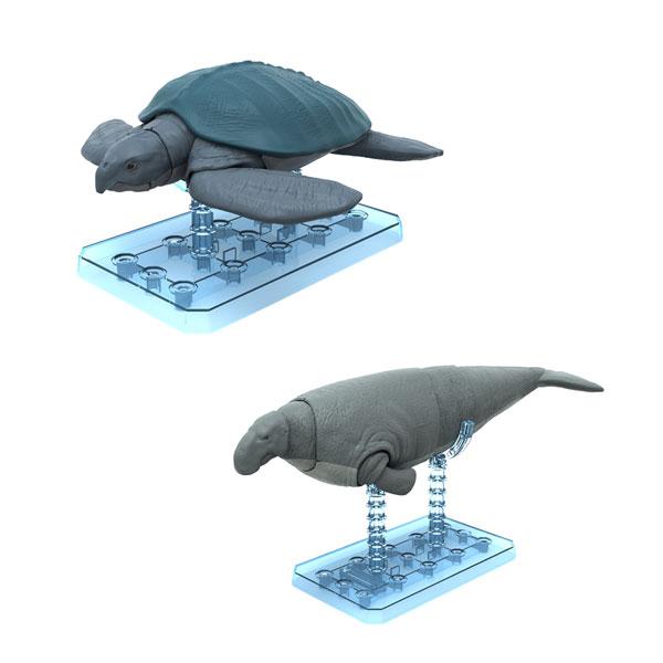 【発売日：2026年09月30日】送料無料◆プラノサウルス 08/09 2種セット (ステラーカイギュウ/アーケロン) プラモデル バンダイスピリッツ ■発売予定：2026年9月予定(発売は遅れる可能性が御座います。)※こちらは・08 ステ...