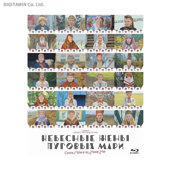 【ゆうパケット送料無料】▼ゆうパケットについて・ゆうパケット対応商品は単品発送となります。・お届け方法は「ポスト等に投函」となります。・「代金引換」でのお支払いはご利用頂けません。・お届け日時指定は承る事が出来ません。神聖なる一族24人の娘...