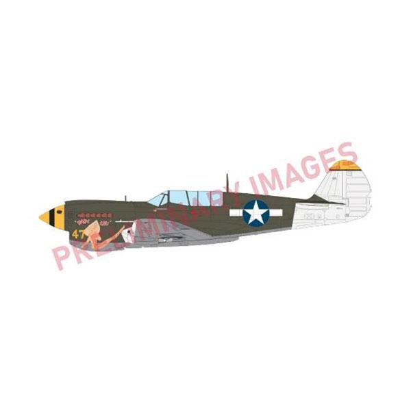 エデュアルド 1/48 P-40N ウォーホーク ウィークエンドエディション プラモデル EDU84210 エデュアルドより、1/48スケールでP-40N ウォーホーク がウィークエンドエディションで登場！・4種類米軍マーキングが付属1/4...