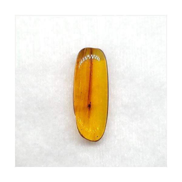 ■虫入り琥珀〈Insects in Amber〉【化石の大きさ】19×7×3.5【虫の大きさ】約1.3mm（一番長い部分）【化石産地】Balttic Sea バルト海沿岸沿【英名】Insects in Amber【時代】古第三紀・漸新世（O...