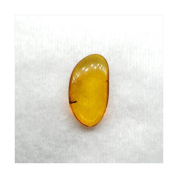 ■虫入り琥珀〈Insects in Amber〉【化石の大きさ】14×8×2mm【虫の大きさ】約1.5mm（一番長い部分）【化石産地】Balttic Sea バルト海沿岸沿【英名】Insects in Amber【時代】古第三紀・漸新世（O...